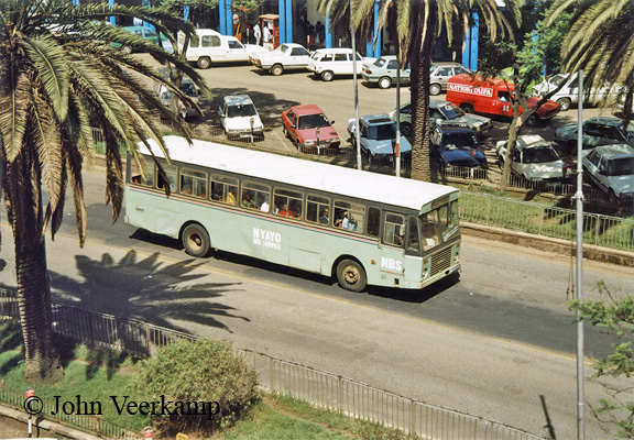 Bus