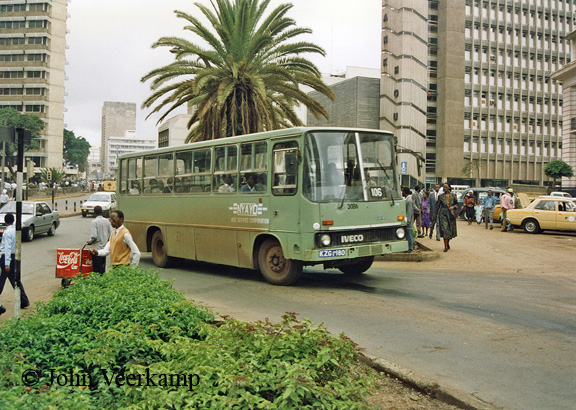 Bus