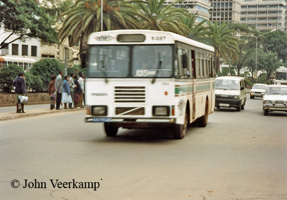 Bus