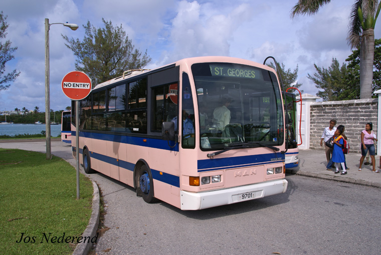 Bus