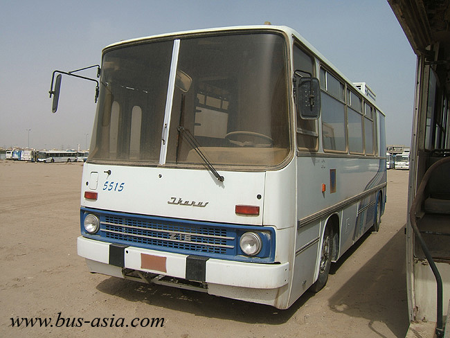 Bus