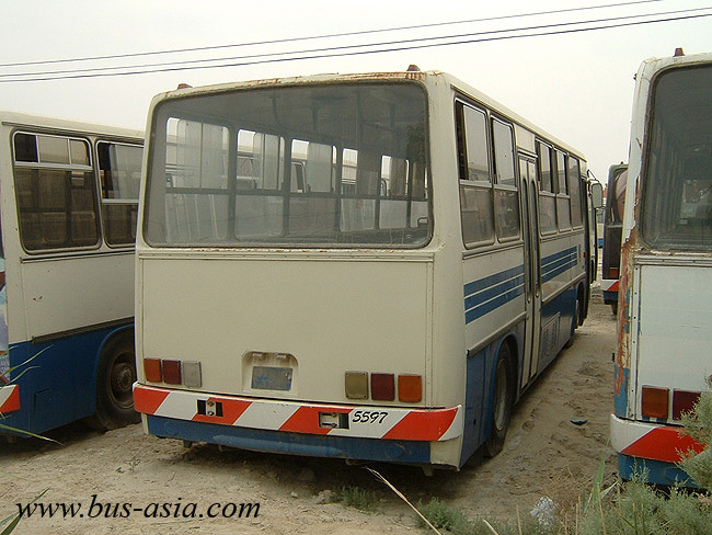Bus