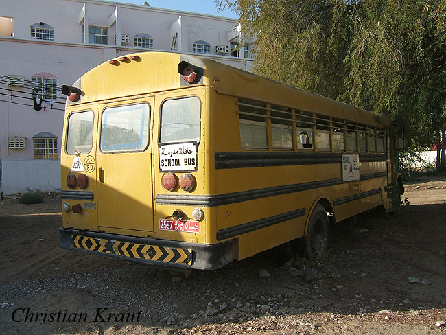 Bus