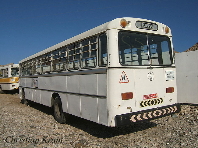 Bus