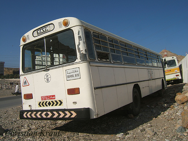 Bus