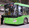 Aleppo buses