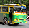 Aleppo buses