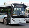 Aleppo buses