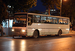 Hama buses