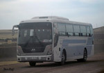 Buses in Algeria