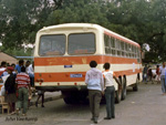 Buses in Botswana