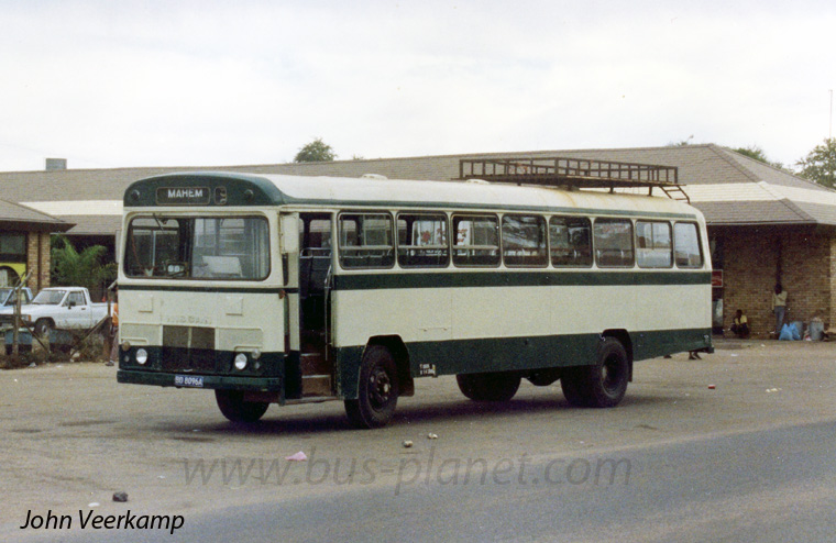 Bus