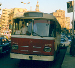 Buses in Egypt-Cairo-Nasr 810