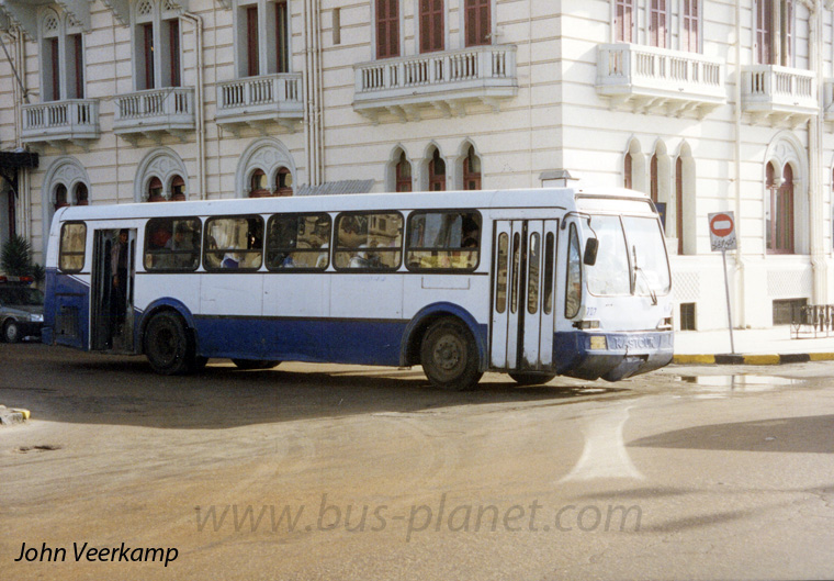 Bus Egypt