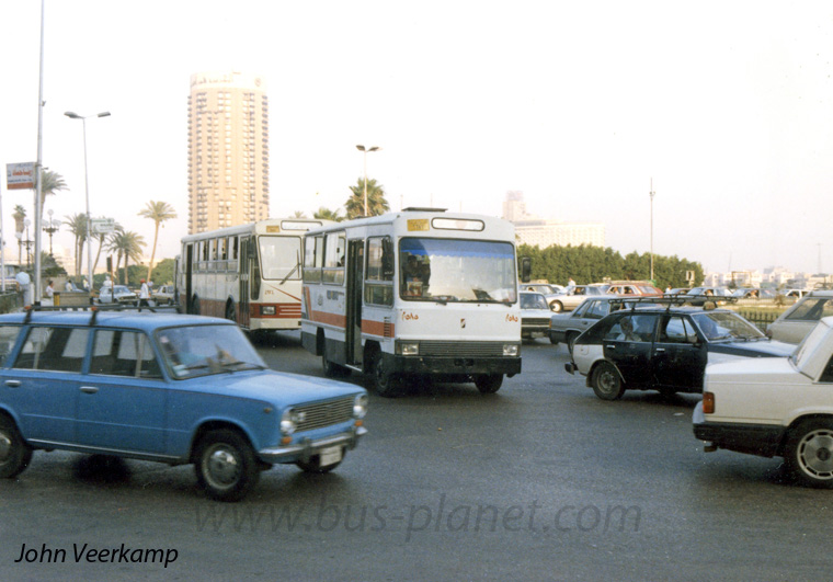 Bus Egypt