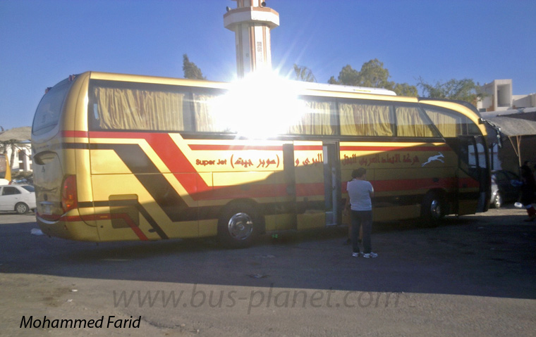 Bus Egypt
