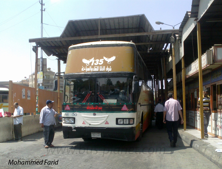 Bus Egypt