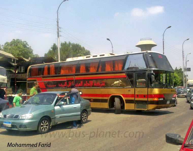 Bus Egypt