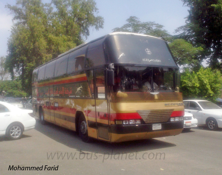 Bus Egypt