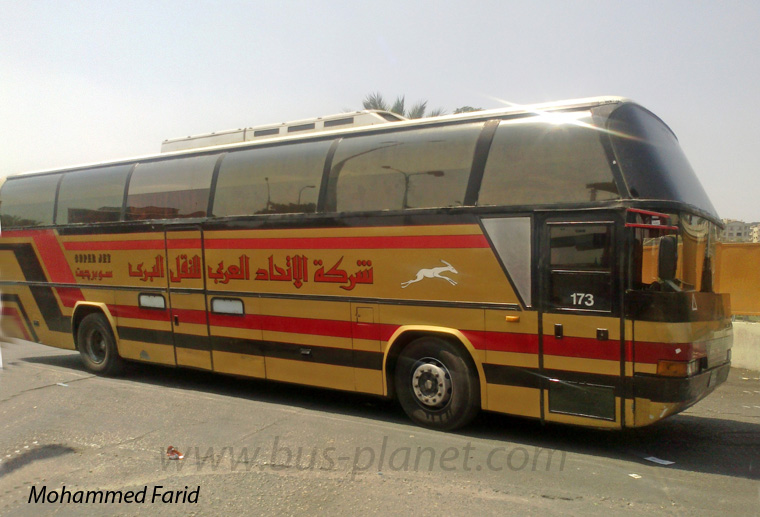 Bus Egypt