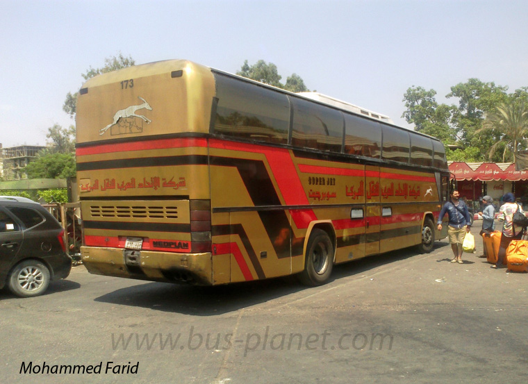 Bus Egypt
