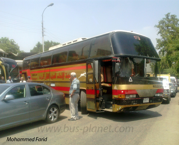 Bus Egypt