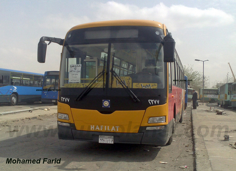 Bus Egypt