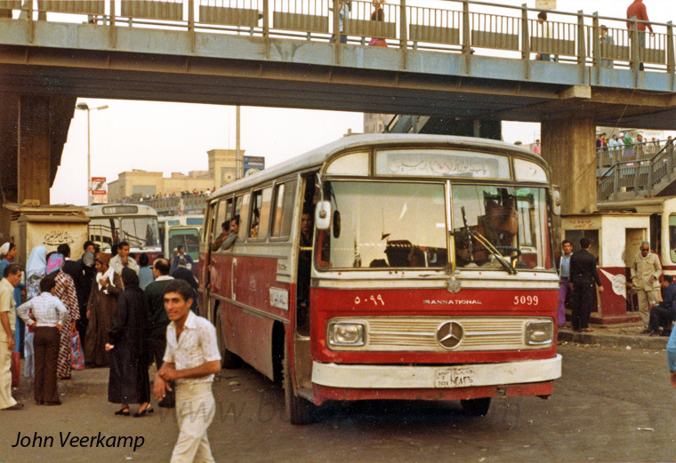 Bus Egypt