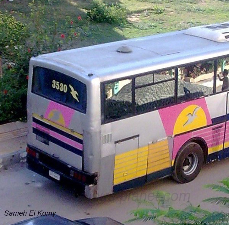 Bus Egypt
