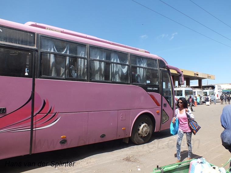 Bus