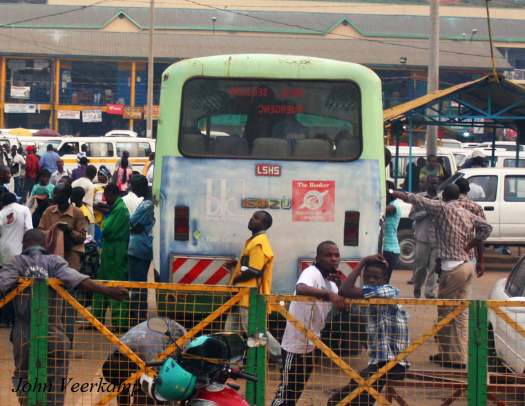 Bus