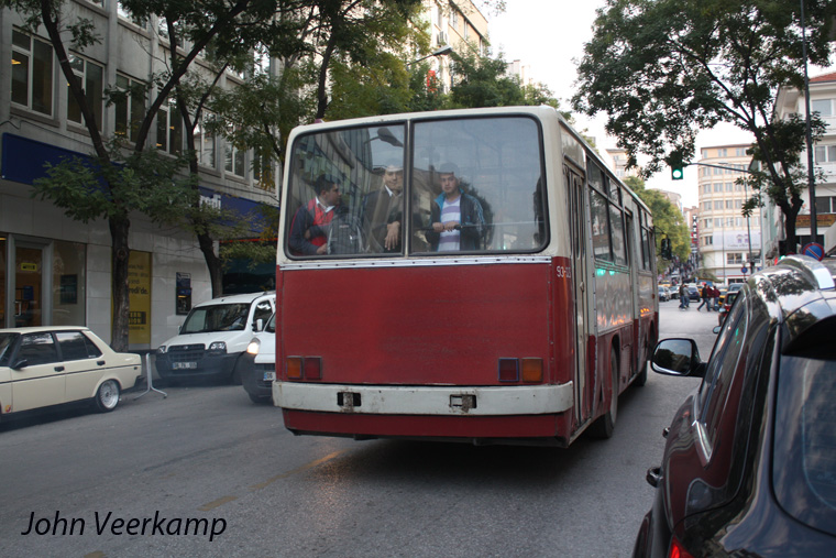 Bus