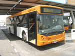 Buses in Egypt-MCV