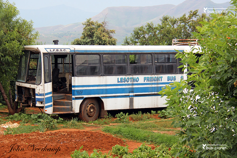 Bus