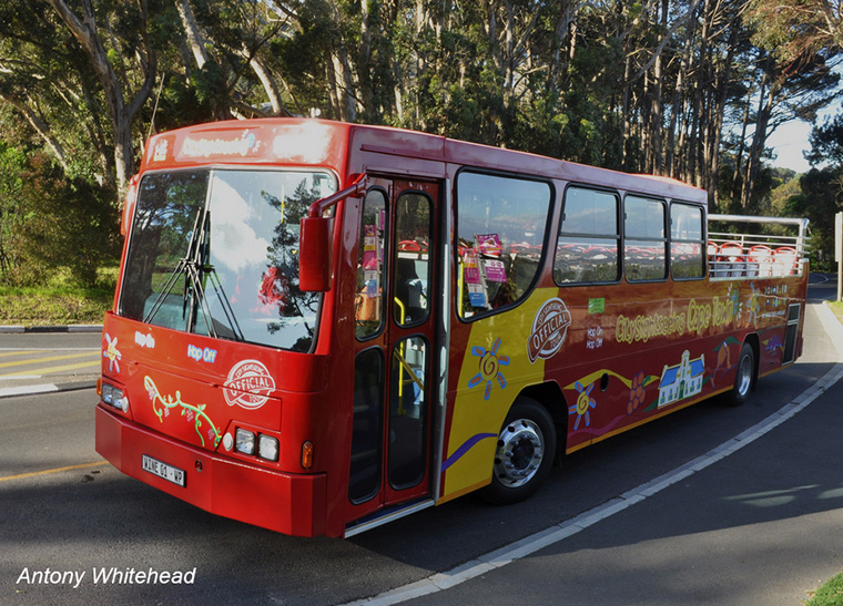 Buses in South Africa-CitySightSeeing