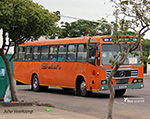 Buses in South Africa-Dehal's