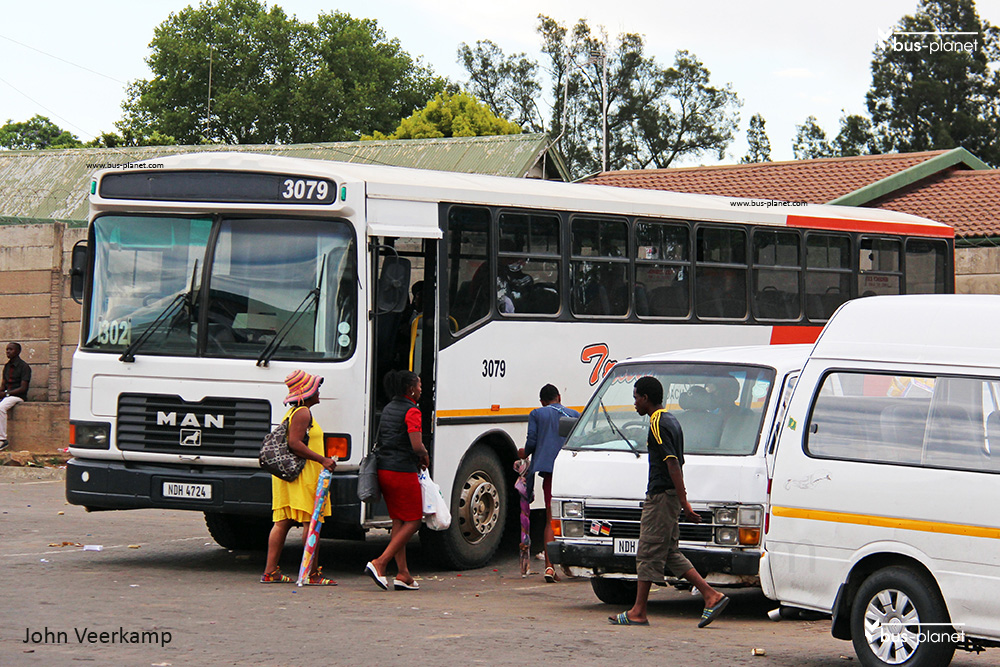 Bus