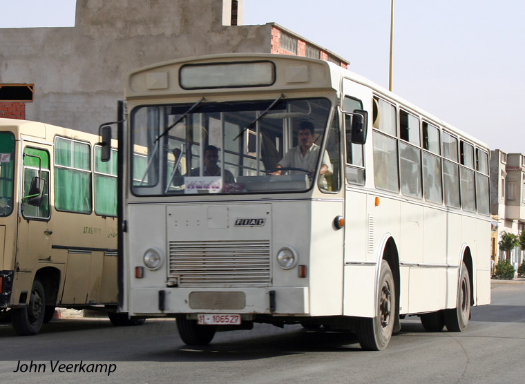 Buses in Tunisia-STIA