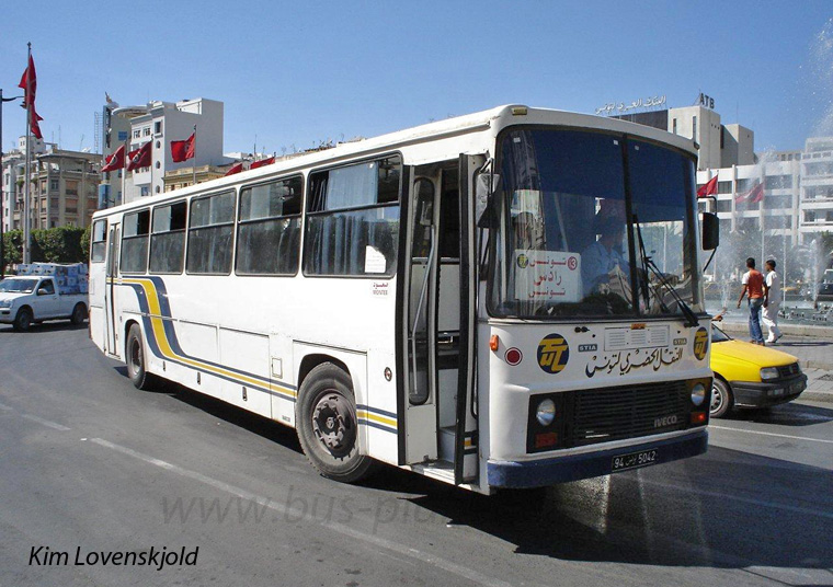 Buses in Tunisia-TUT
