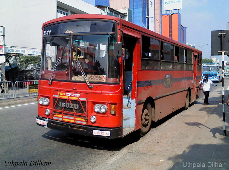 Bus